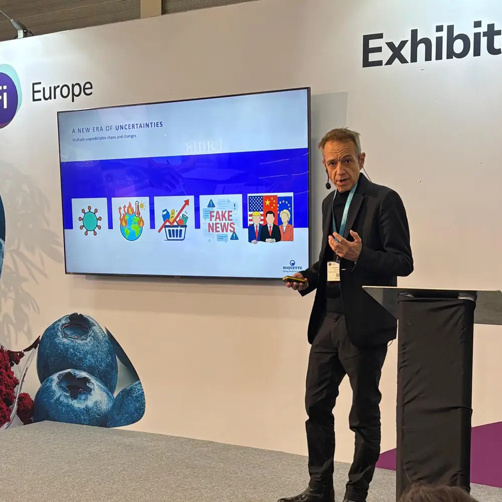 Insights from Fi Europe | BDB Global