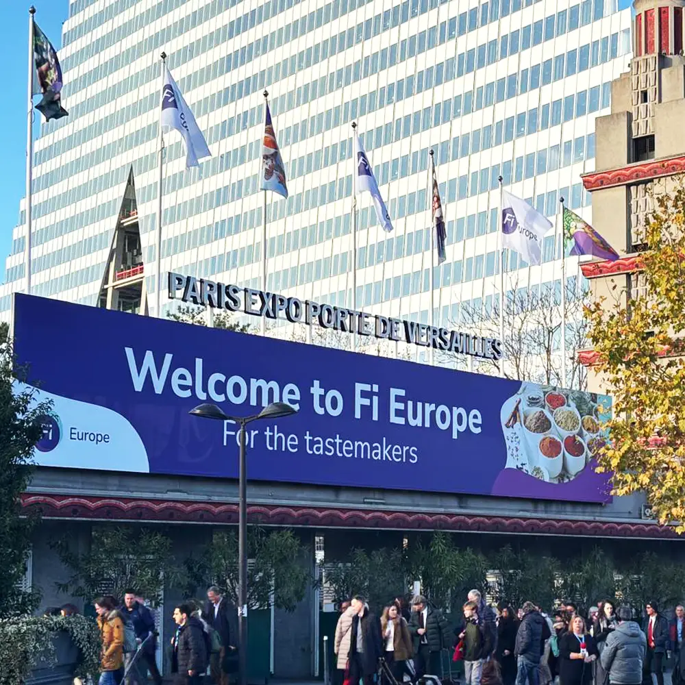 Insights from Fi Europe | BDB Global